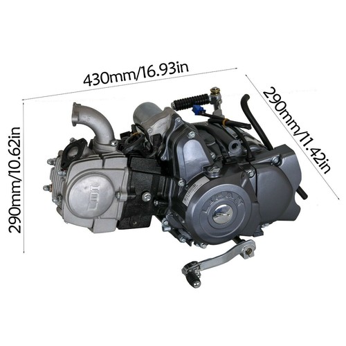 Lifan 125cc Semi Auto Engine Motor Kick Start for Pit Bikes Sunl CT70 ...