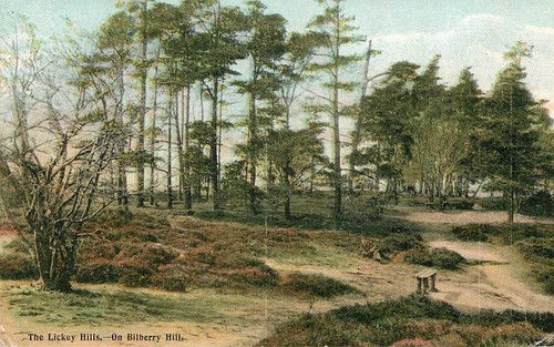 BILBERRY HILL THE LICKEY HILLS - POSTCARD | eBay UK