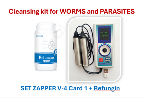 ZapperV4 BioWave Generator HuldaClark Kills Parasites With 1 card ...