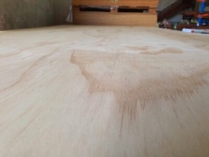 GREEN FOREST TIMBER | eBay Australia Stores