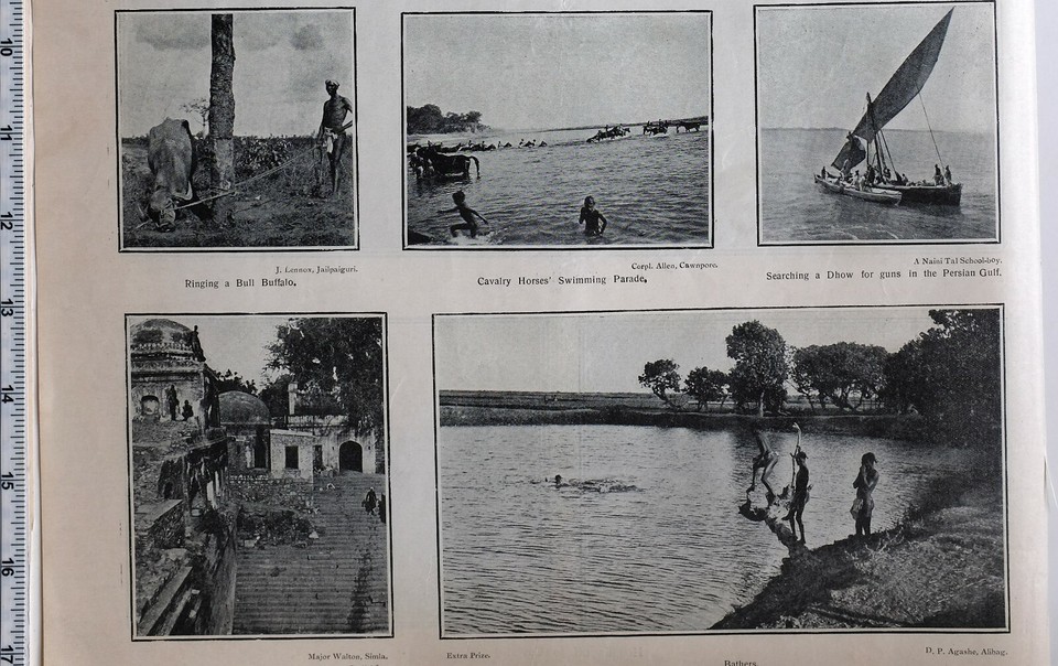 1910 India Stampa Stanghetta Di Buddha Gaya Cavalleria Cavalli Nuoto ...