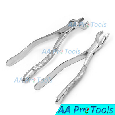 Dental Extracting Forceps #53R & #53L Molars Stainless Steel Oral ...