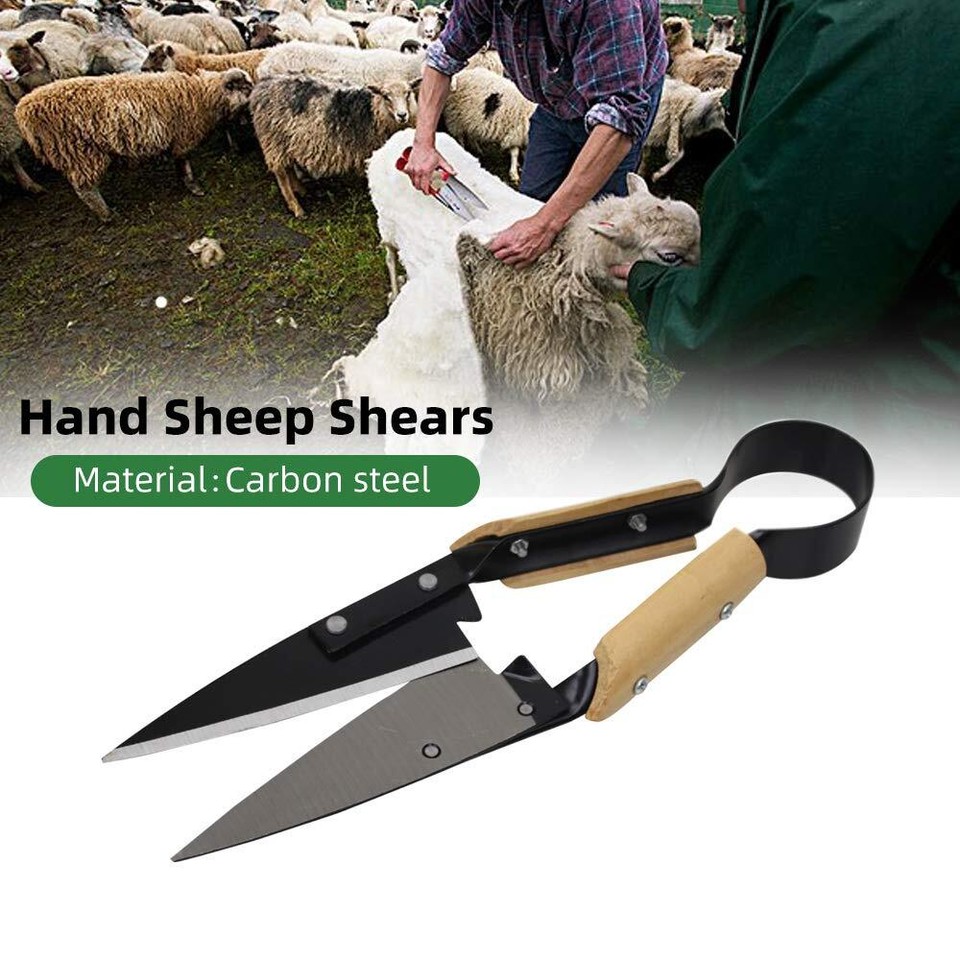 Hand shears for sheep shearing, Single Bow Heavy Duty Onion/Sheep Shear ...