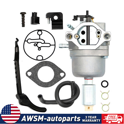 287707 Carburetor Fit For Briggs & Stratton 287776 287777 310707 Riding ...
