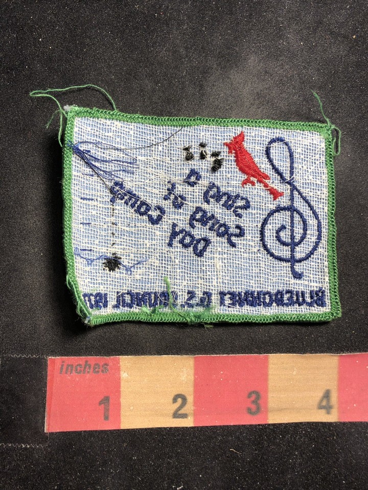 VTG 1977 BLUEBONNET Girls Scout Council SING A SONG DAY CAMP REDBIRD ...