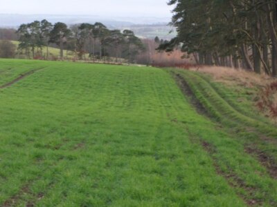 Photo 6x4 Farmland south of Gunnerton Fell c2007 | eBay UK