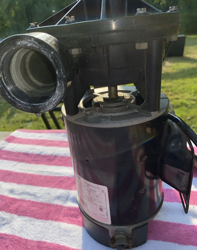 MagneTek 3/4 HP Century Pool Jetted Tub Spa Motor Pump 115V 3450 RPM ...