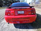 99-04 Mustang Bumper Letters Plastic Inserts Decals 3M Adhesive ...