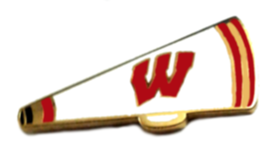 Wisconsin Badgers Pins RARE University of Wisconsin Pins Cheer ...