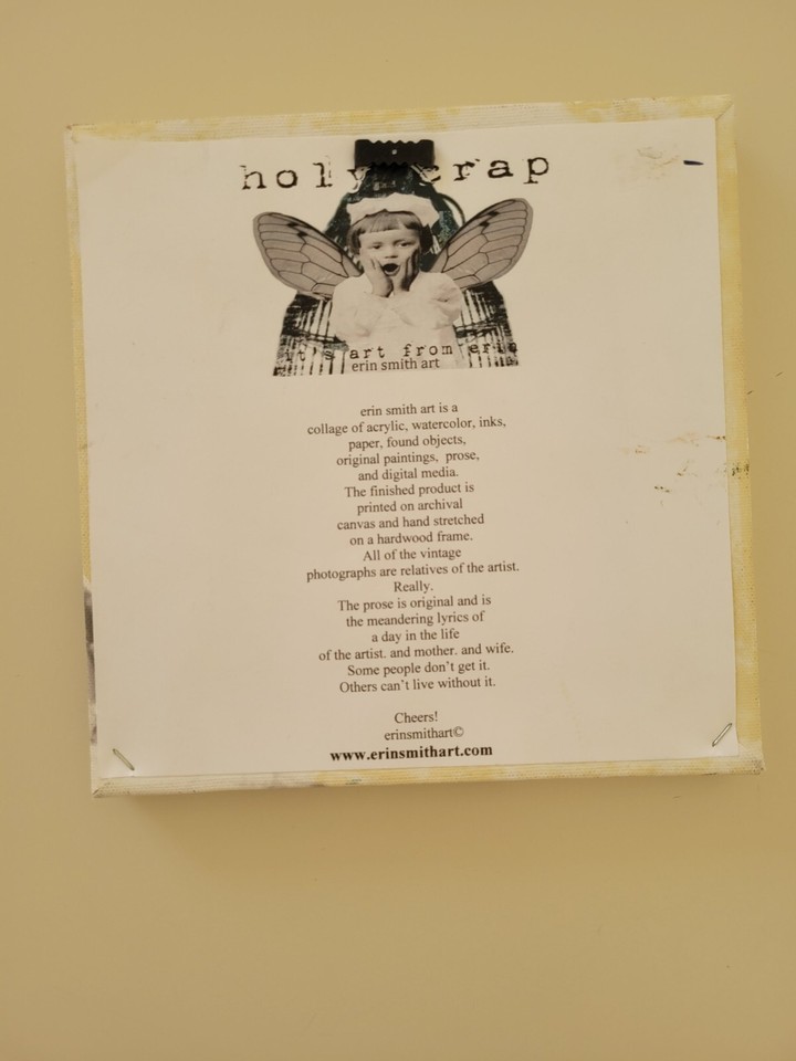 Holy Crap ART Erin Smith Print Canvas I may appear harmless but inside ...