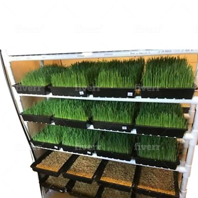 24 Tray Fodder Feeding System | eBay