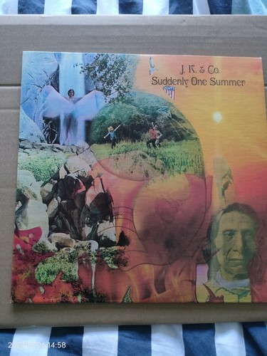 J K & Co Suddenly One Summer 10" 33 1/3 Lp Nr Mint | eBay