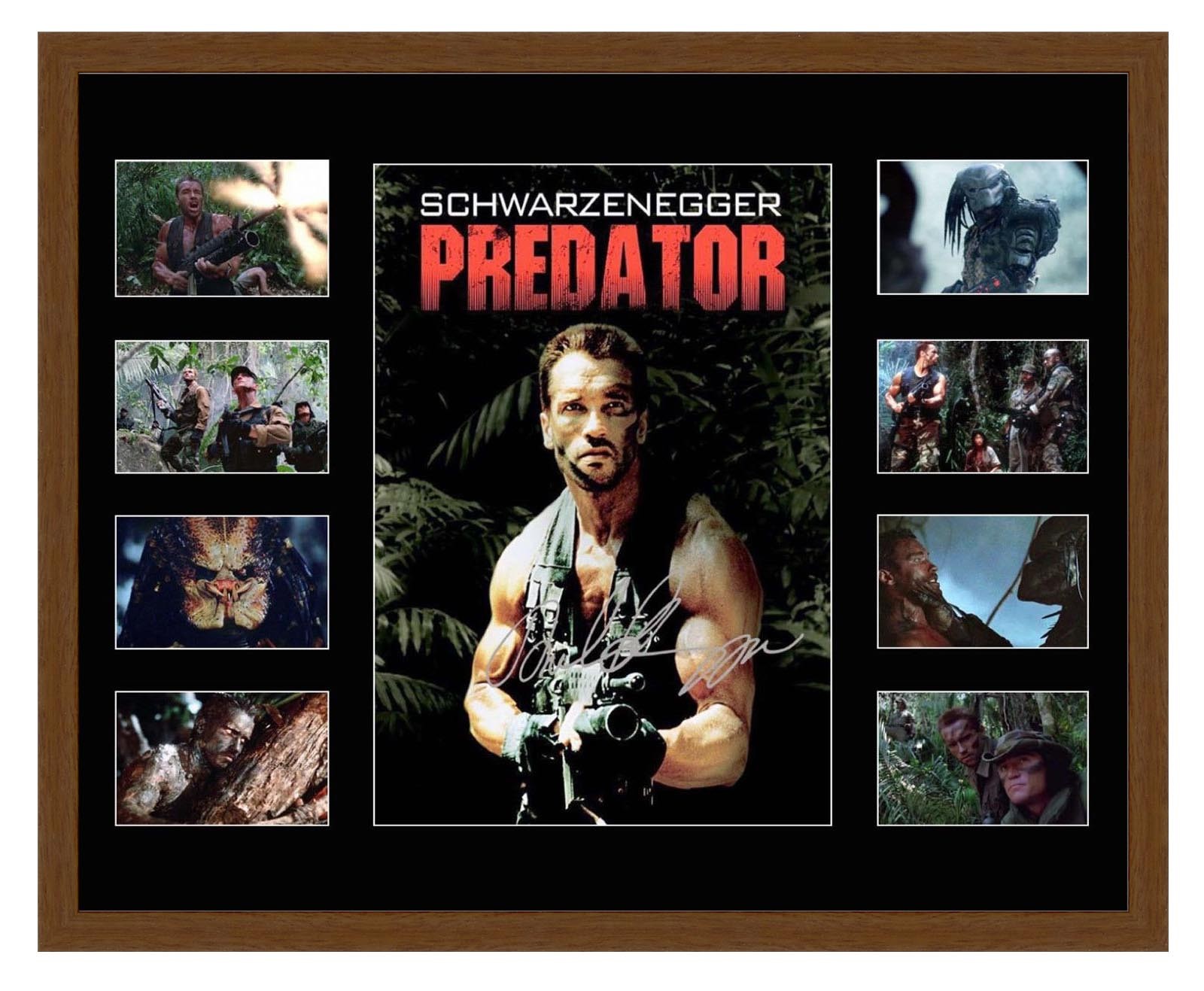 PREDATOR ARNOLD SCHWARZENEGGER SIGNED LIMITED EDITION FRAMED ...