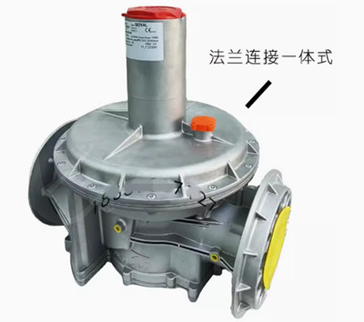 31168F DN100 (with filter) Natural Gas Regulator Pressure Regulator DHL ...