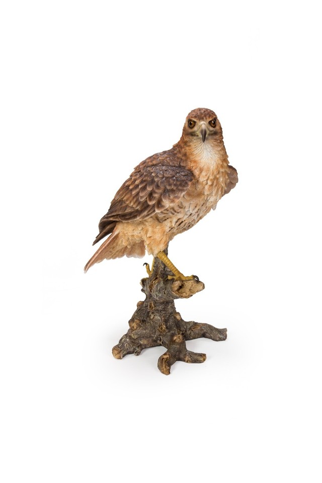 Red Tail Hawk Garden Statue Decoration Eagle Figure Home Decor Ornament ...
