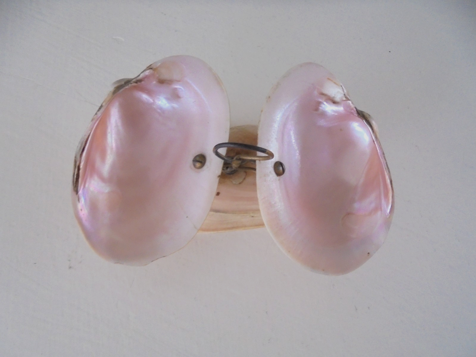 Antique Victorian Pink Clam Shell Trinket Dish Folk Art | eBay