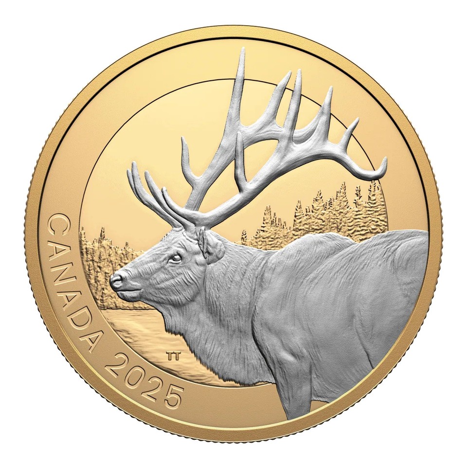 2025 Canada Animal Portraits Elk 1 oz Silver Gilded Proof Coin NGC PF ...