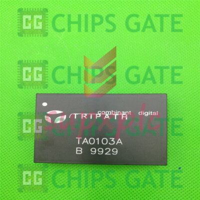 TRIPATH TA0103A MODULE,Stereo 250W 4 Class-T Digital 1PCS NEW | eBay