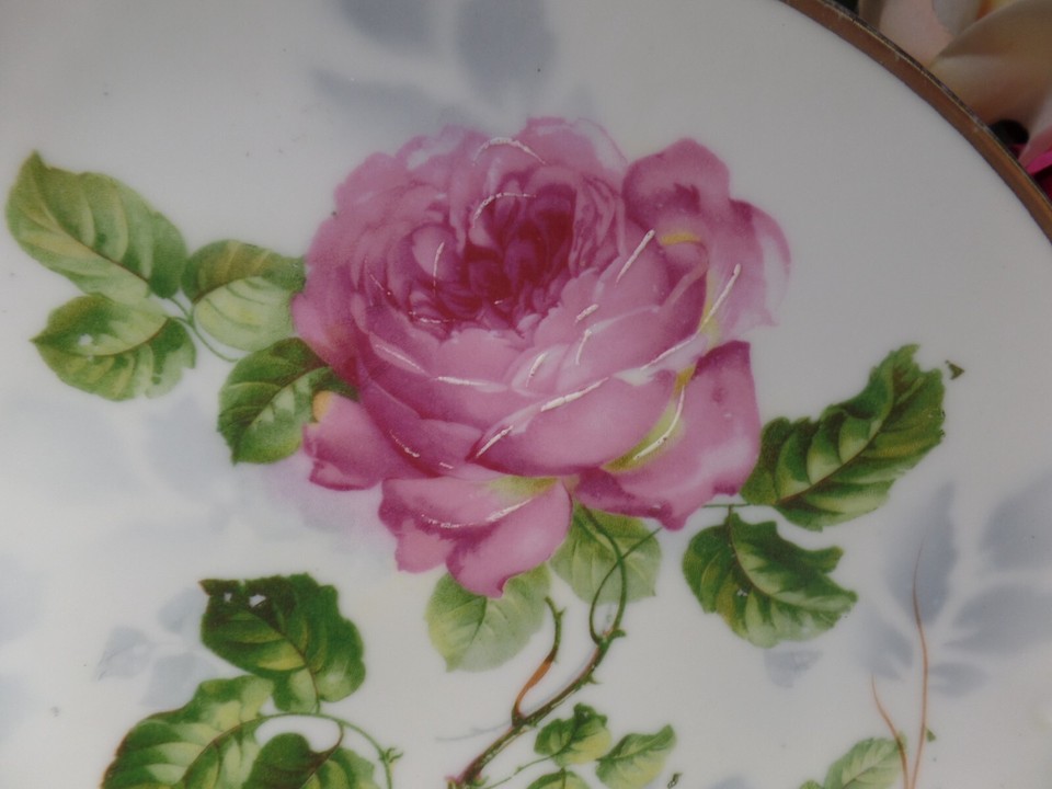 Vintage German Hand Painted Porcelain Cake Plate Signed Buche Pink ...