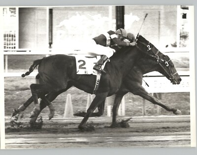 Race Horse HE'S A SAROS Races William P. Kyne Handicap 1989 Press Photo ...