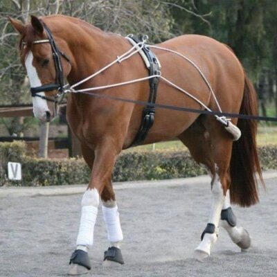 HM Horse Pessoa Lunging Training Aid System Lunge Equipment for Pony ...