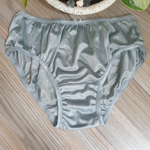 Vintage Slippery Nylon Panty Double Gusset Sheer Silver Brief Sz. 7-8 ...