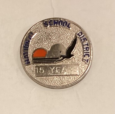 National School District 15 Year Pin | eBay