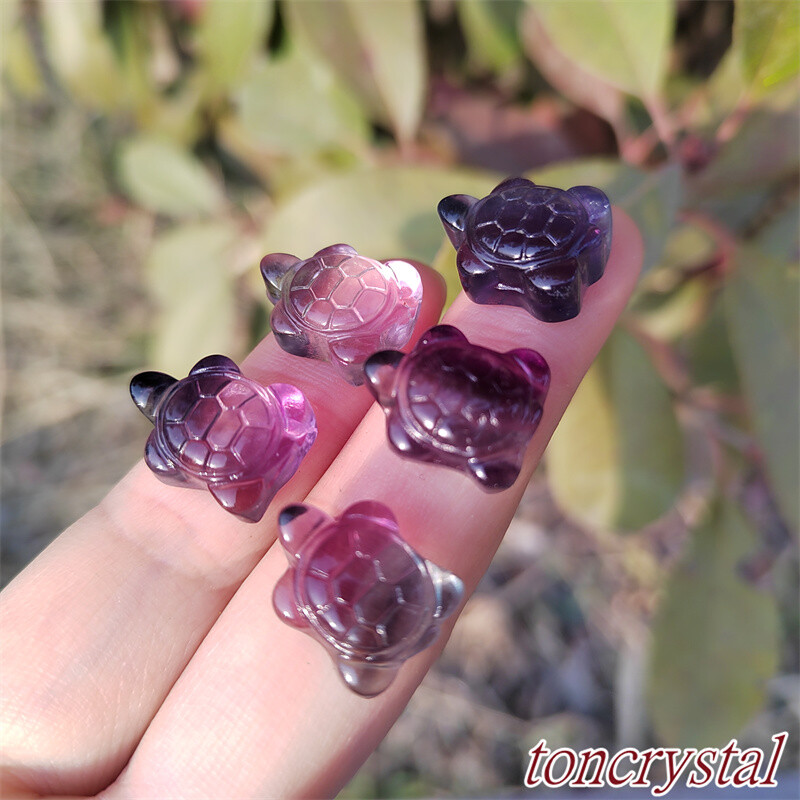 5pcs Natural Fluorite Tortoise Carved Mini Quartz Crystal Skull Reiki ...