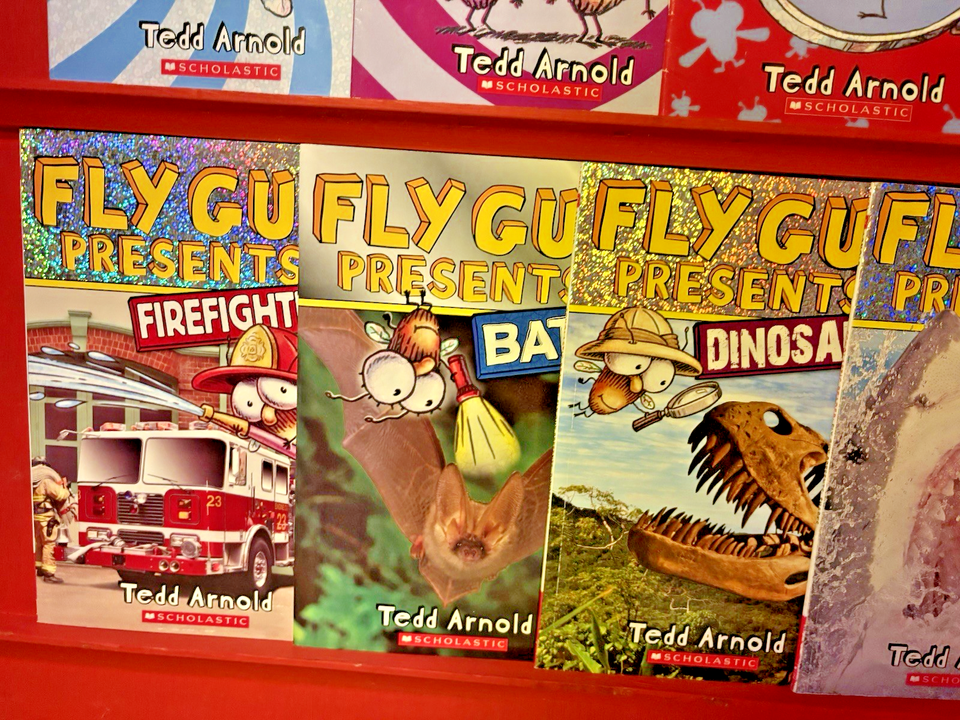 Fly Guy Lot 25 P/B Books Readers Tedd Arnold Kindergarten-3rd Old Lady ...