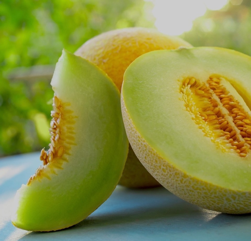 Lemon Drop Honeydew Melon Seeds 10 Organic Seeds RARE *Free Shipping ...