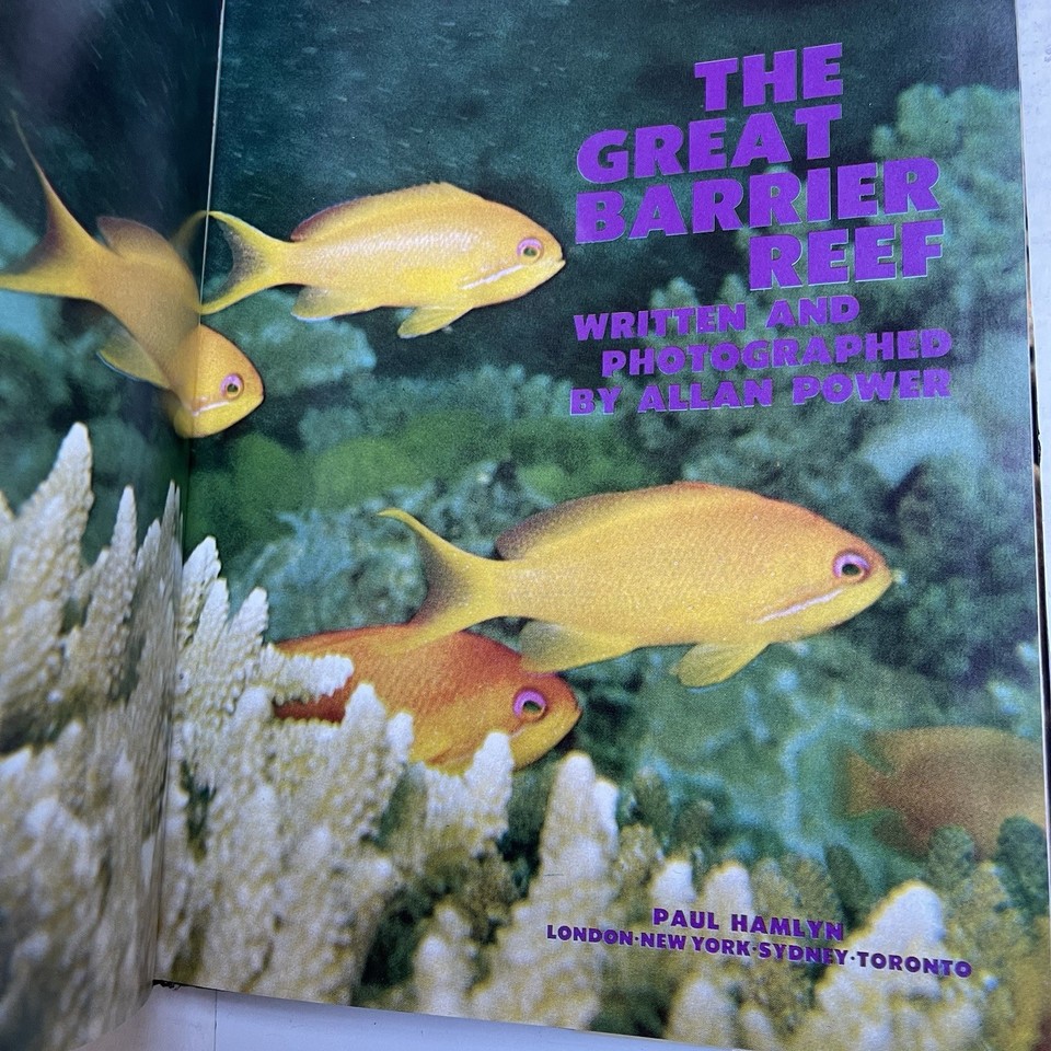 Great Barrier Reef Allan Power 1969 Vintage Fish Ocean | eBay