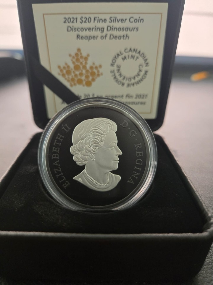 Rhodium-Plated $20 Canadian Coin - 2021 DISCOVERING DINOSAURS - 1 Oz ...