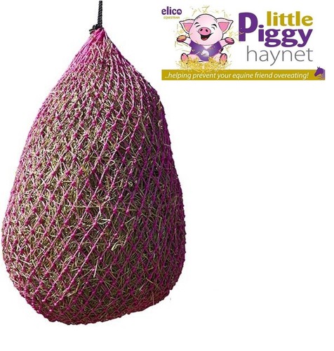 Elico Pink Little Piggy Slow Trickle Feed Very Small Hole Haynet ...
