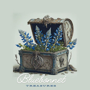 Blue Bonnet Treasures | eBay Stores