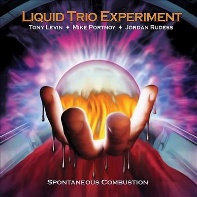 Spontaneous Combustion by Liquid Trio Experiment (Record, 2022) for ...