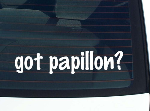 got papillon? CAR DECAL BUMPER STICKER VINYL FUNNY JOKE WINDOW | eBay