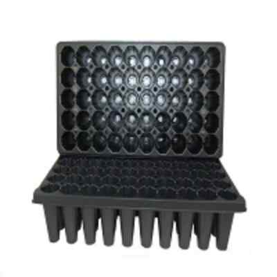 50 Cell Star Nursery Tree Tube Deep Trays - Case of 50 for Seedlings ...