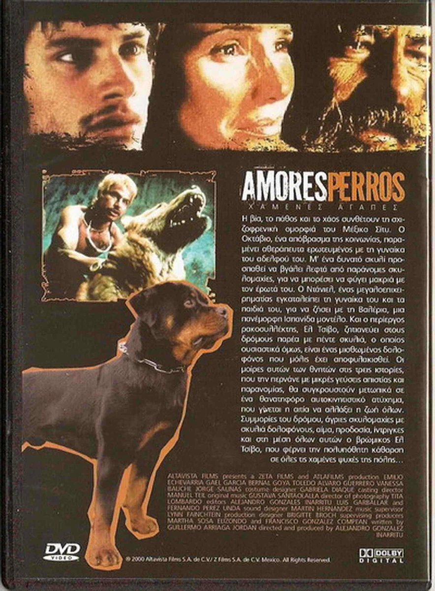 Amores Perros Dogs