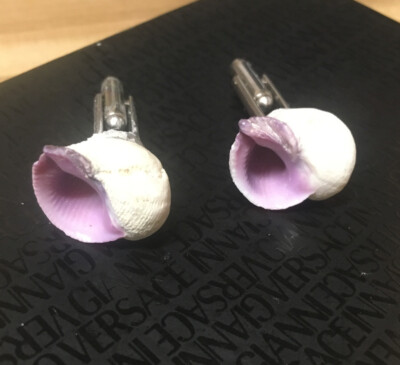 Seashell Pair Cufflinks - Actual Shells | eBay