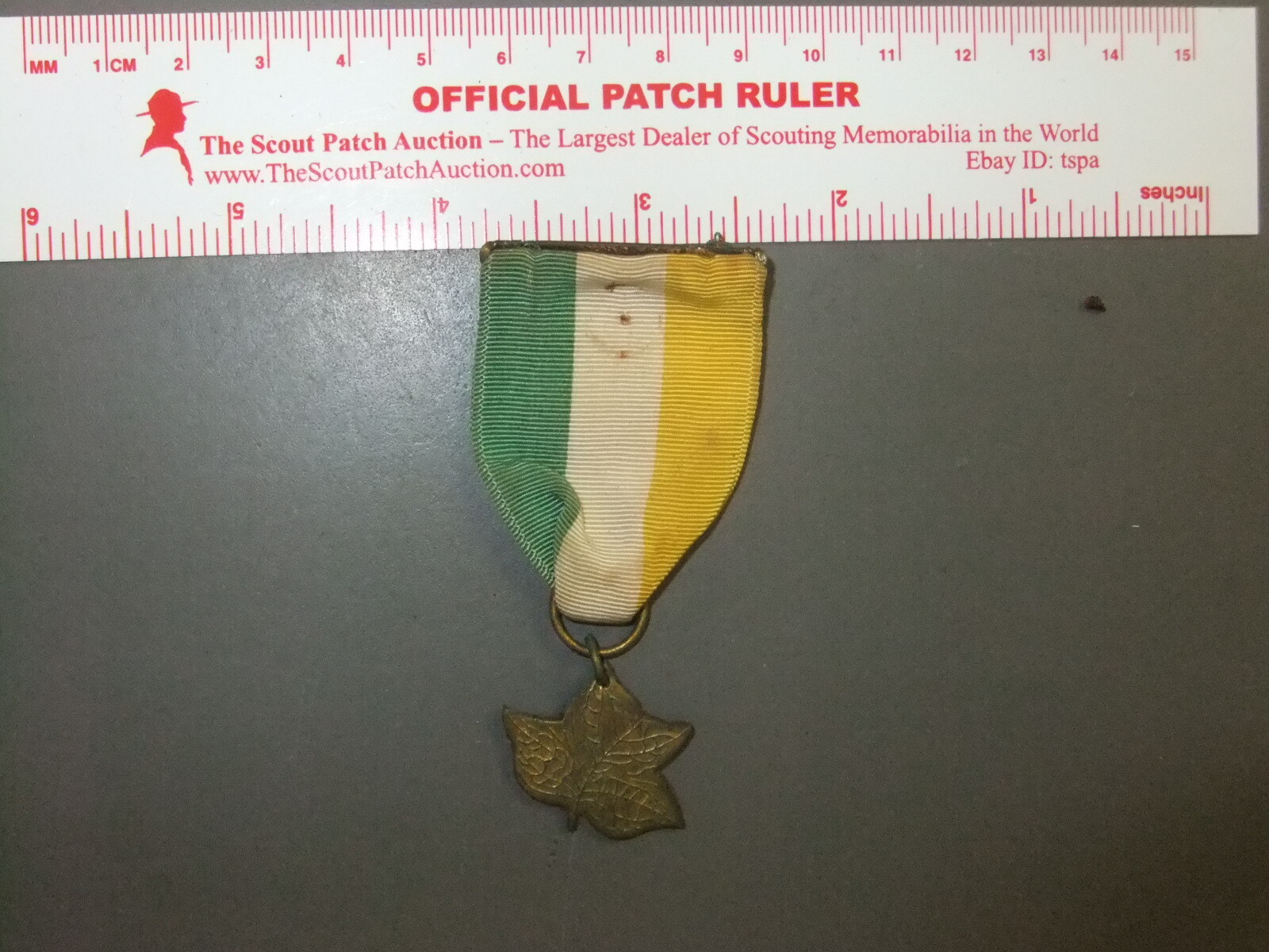 Boy Scout Tulip Tree Trace Trail Medal 4466EE | eBay UK