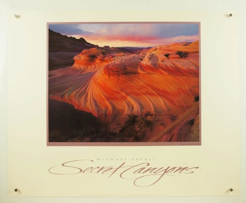 MICHAEL FATALI Swirls, Secret Canyons, Mystery Gardens ~ vtg poster ...