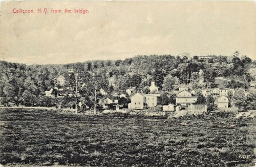 A View From The Bridge, Callicoon, New York NY | eBay
