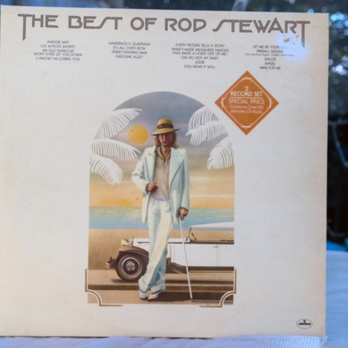The Best of Rod Stewart Double Vinyl LP in Excellent Condition | eBay UK