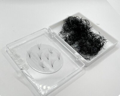 D.R Lashes - Premade 5D Lashes - Thickness 0.07 - D curl - 1000 Fans ...