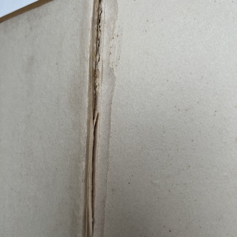 The Boy Scouts Canoe Trip Ralph Victor 1911 Platt Peck Mencl Antique ...