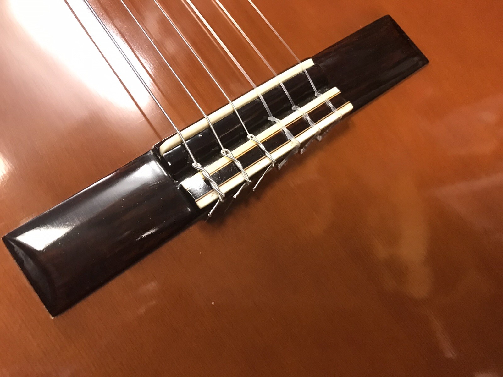 M.Hohner Contessa model HG25 classical guitar 1970s Japan most likely ...