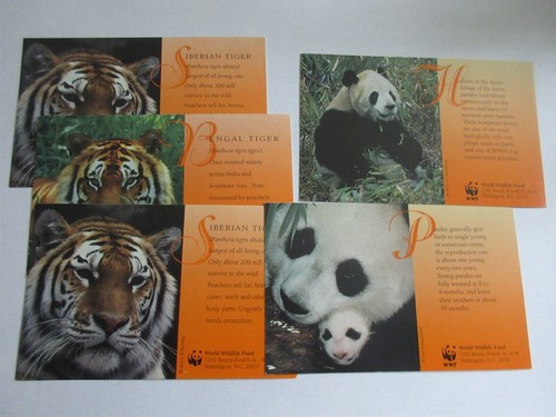 WWF World Wildlife Fund Panda Bengal Siberian Tiger Postcard - 5 | eBay