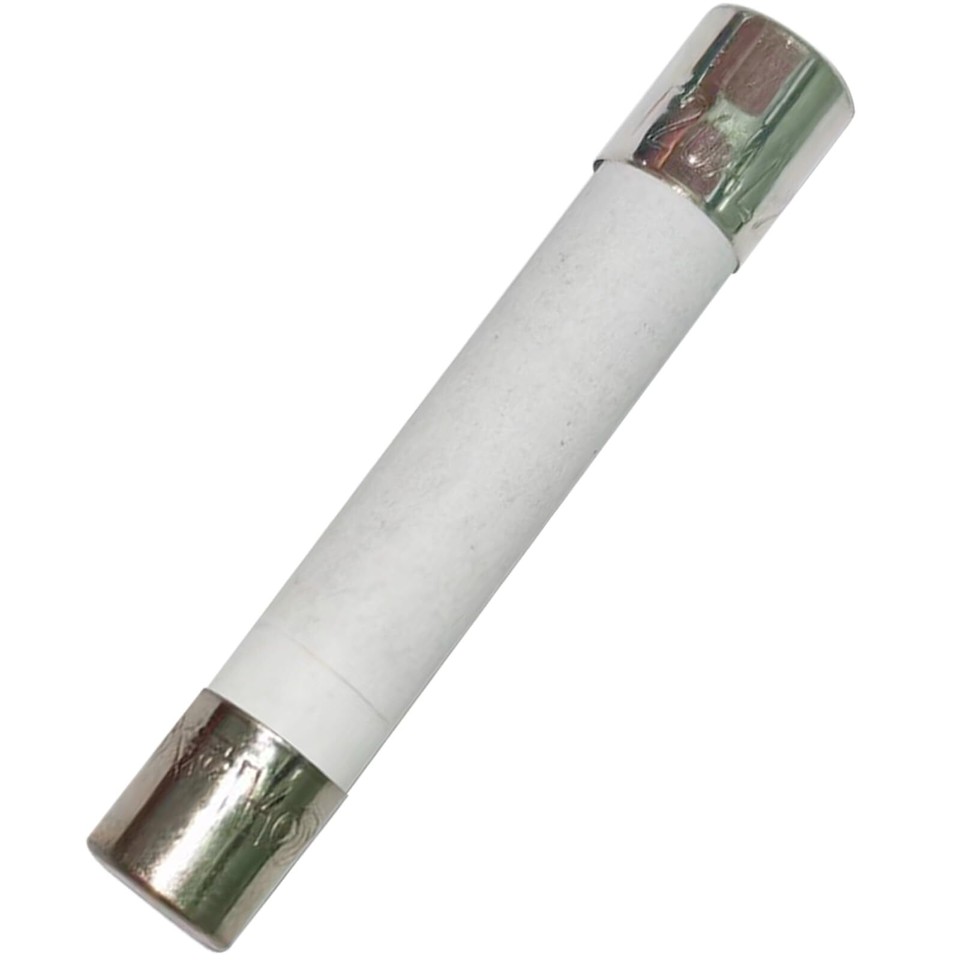 20 Amp Microwave Fuse 20a Ceramic Fuse 20a Fuse 250V Slow-Blow ...