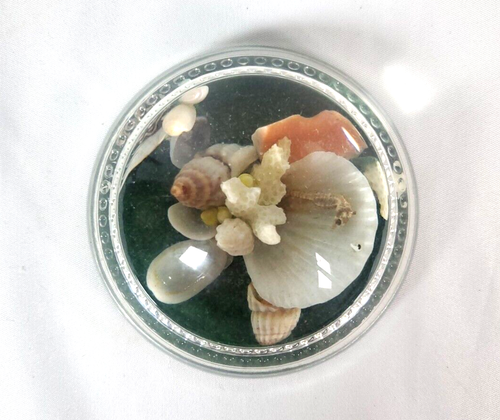 Glass Dome Vintage 1960's Desk Paperweight Real Seashells & Green Felt ...