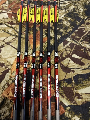 300 grain warhead arrows | eBay